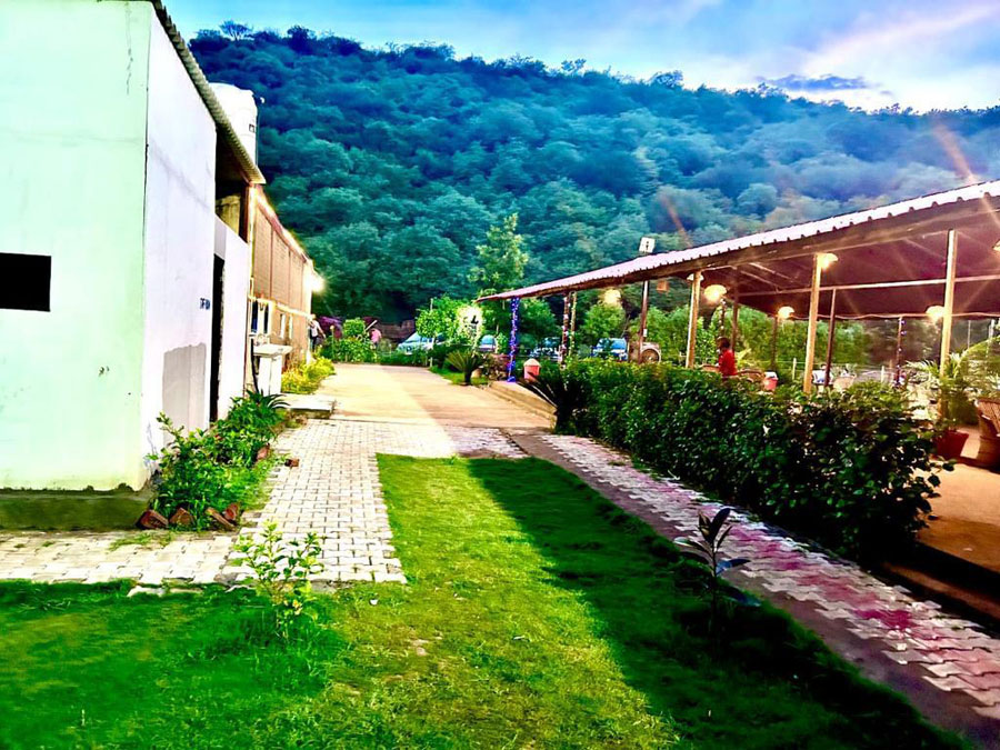 Our Gallery - Ashoka Hills Jungle Cafe